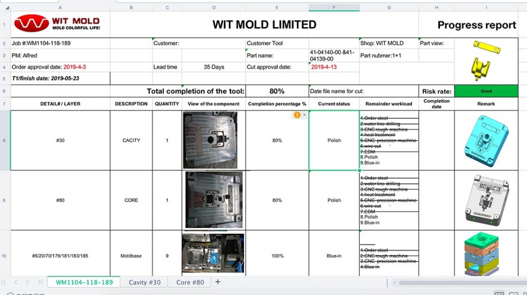 Project Management - WIT MOLD