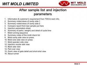 Project Management - WIT MOLD