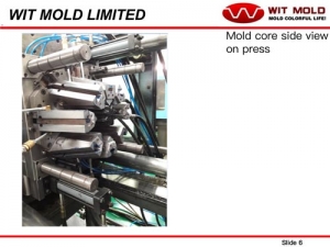 Project Management - WIT MOLD