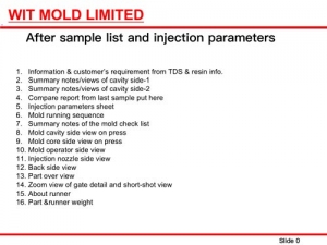 Project Management - WIT MOLD